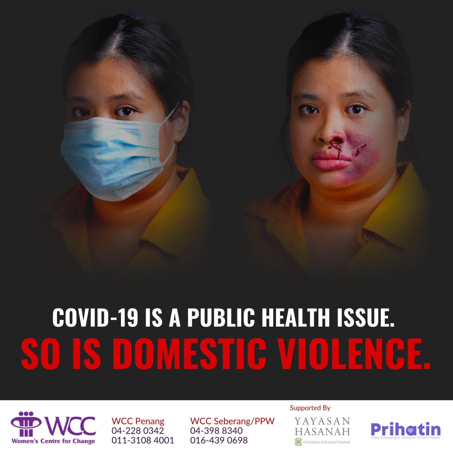 Pamphlets: Domestic Violence – WCC